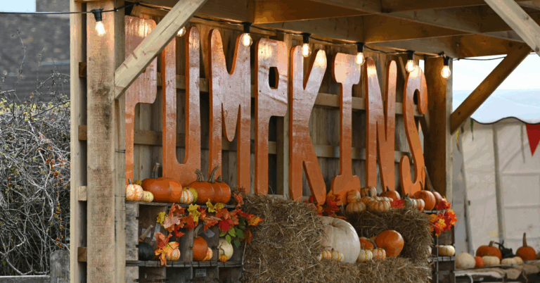 10 Exciting Fall Fundraiser Ideas to Raise More